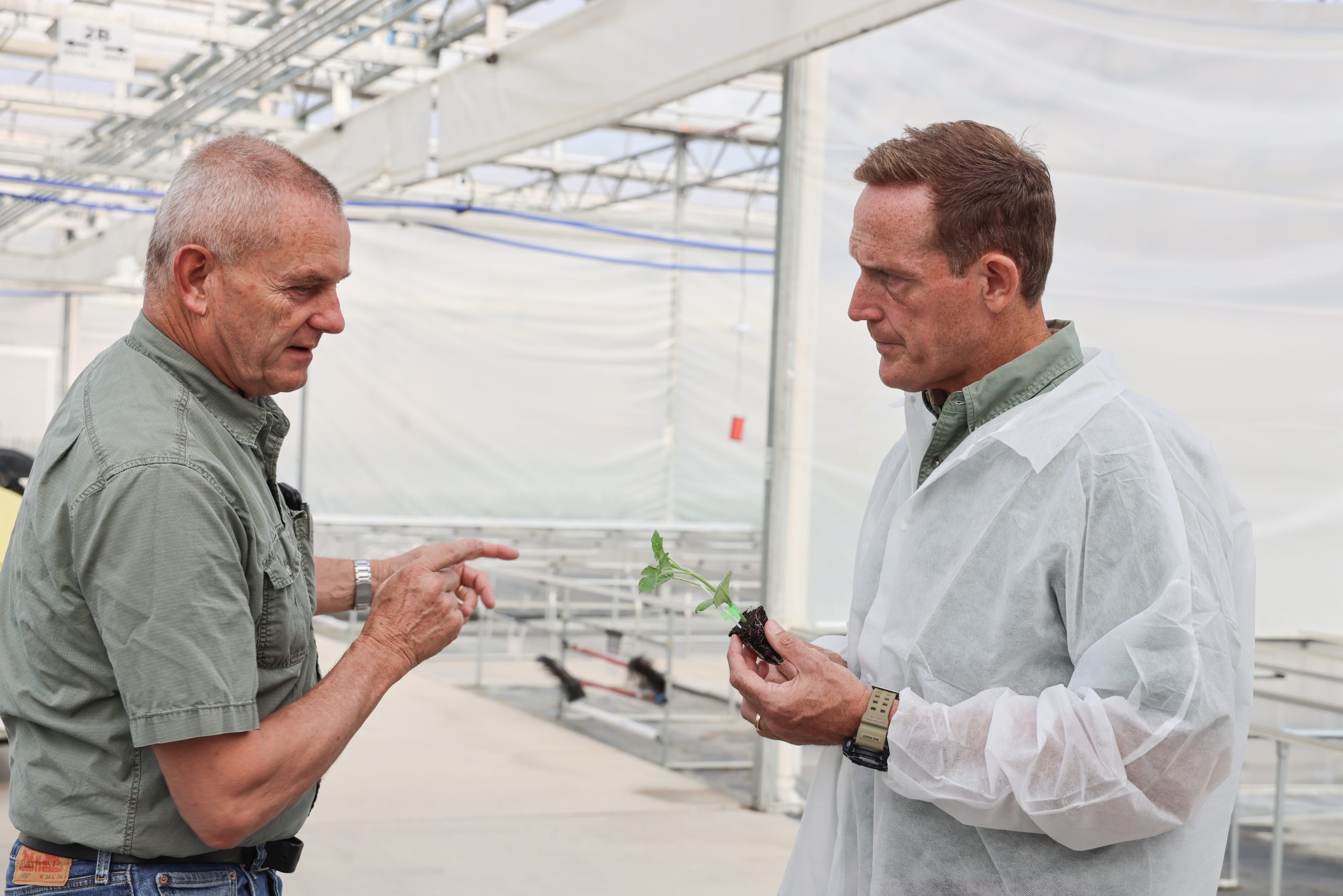 Budd Leads FARM Stability Act to Stabilize Agricultural Labor Costs - U ...